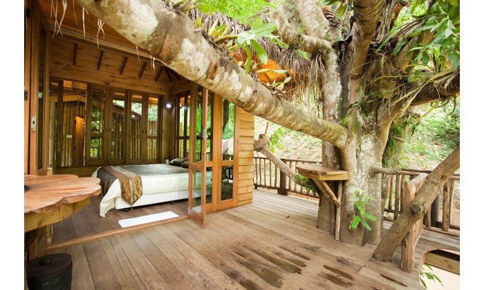 10 Of The Most Amazing Treehouses From Around The World - Sociedelic