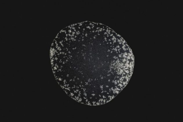 How LSD, DMT, And Caffeine Look Under the Microscope - Sociedelic