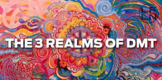 LSD - Assisted Psychotherapy