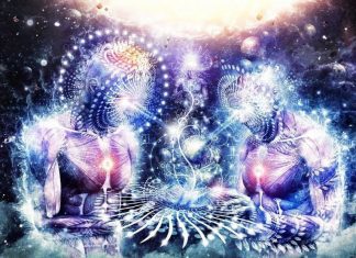 Why Ayahuasca Was the Worst and Best Thing That’s Ever Happened to Me