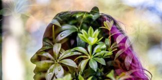 What is Psychedelic Therapy? Health Benefits of Psychedelics