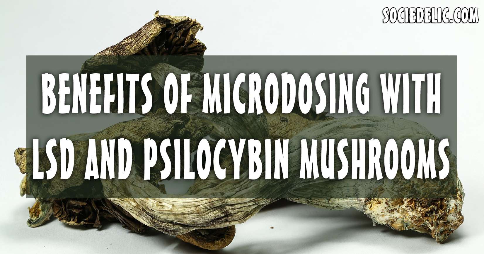 Benefits Of Microdosing With LSD And Psilocybin Mushrooms - Sociedelic Benefits Of Microdosing With LSD And Psilocybin Mushrooms - Sociedelic