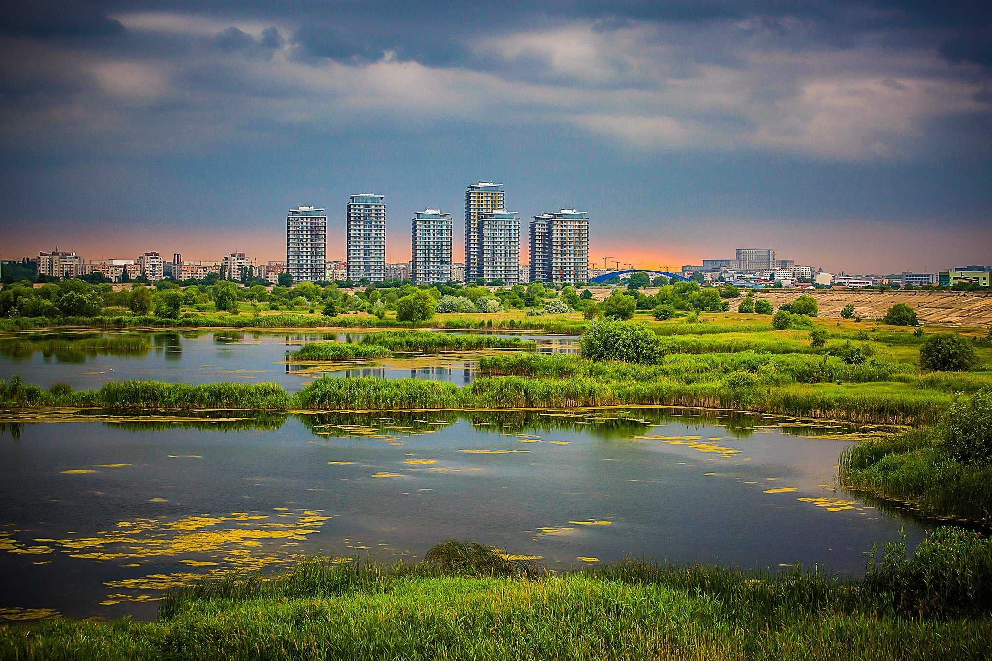 Văcărești: Bucharest Nature Park - One of Europe’s Largest Nature Park ...