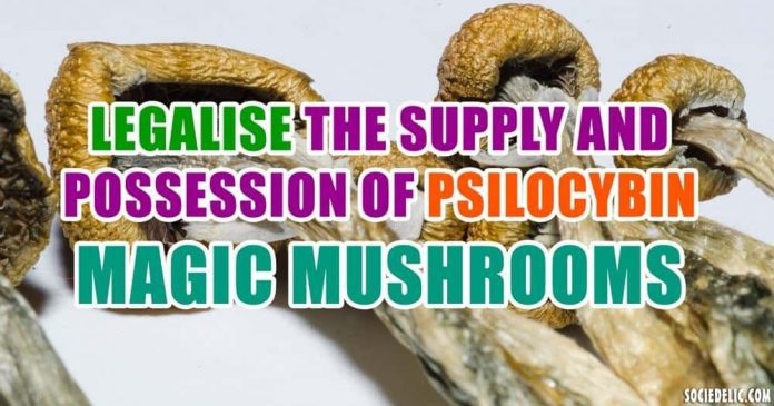 Legalise the supply and possession of psilocybin (magic mushrooms)