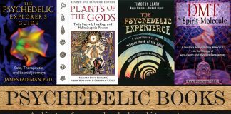 Psychedelic Research Conference | Creatives Of Toronto