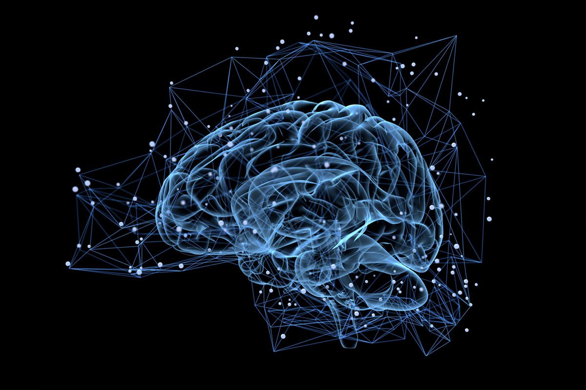 What Are Nootropics? A Guide for the Unknowing - Sociedelic