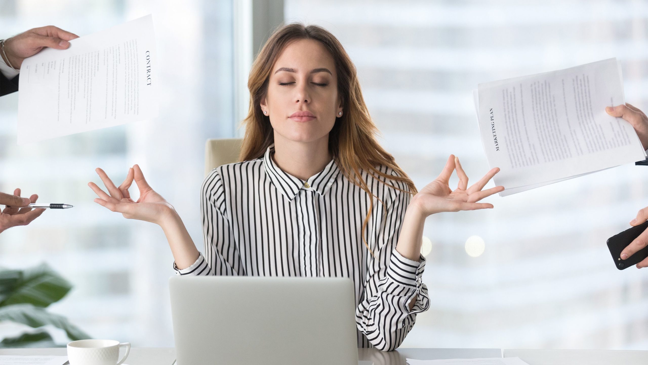 The College Students Guide To Stress Management Sociedelic the-college-students-guide-to-stress-management-sociedelic